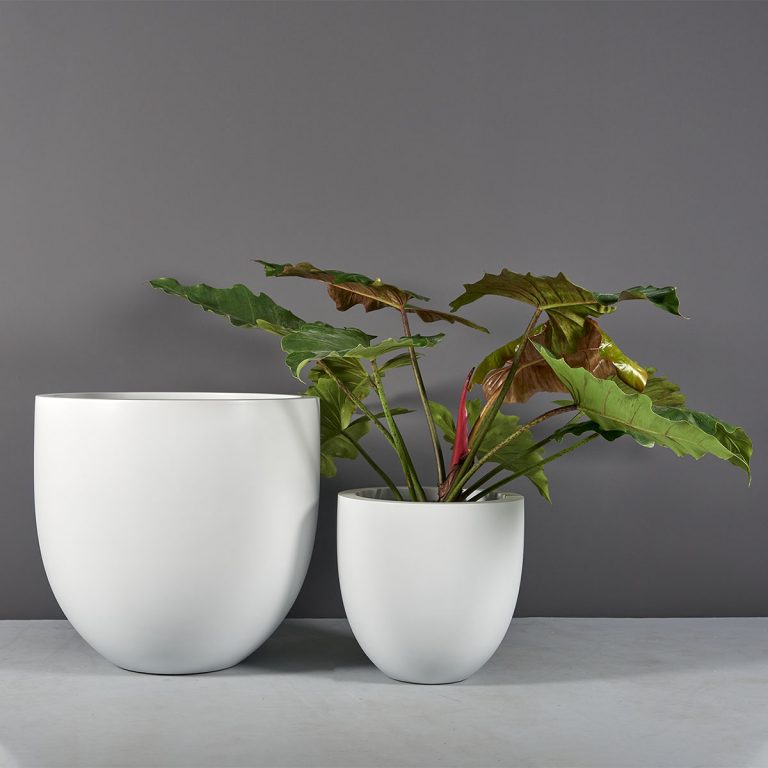 Plant Pot Size Guide | Find the Best Shape and Size for Your Plants ...