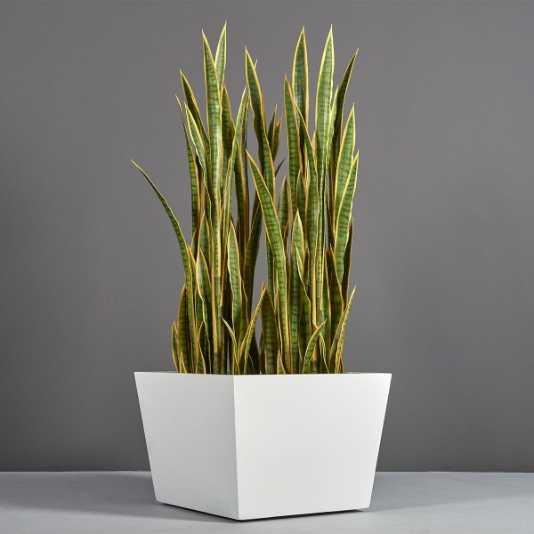 Best Shape And Size Of Pots For Plants | Size Chart And Guide Jay ...