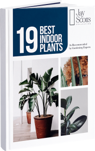 [FREE E-BOOK] 19 Best Plants For Indoor Gardening | Jay Scotts