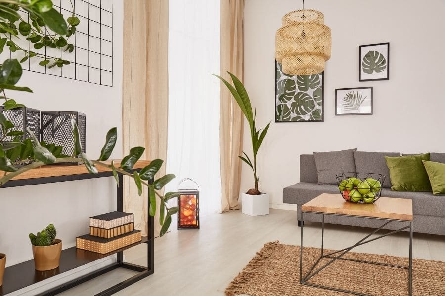 How To Use Plants In Interior Design Time Saving Tips Recent Design How To Use Plants In Interior Design Time Saving Tips Recent Design