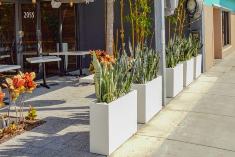 Plant Room Divider Ideas To Craft A Commercial Space | Jay Scotts ...