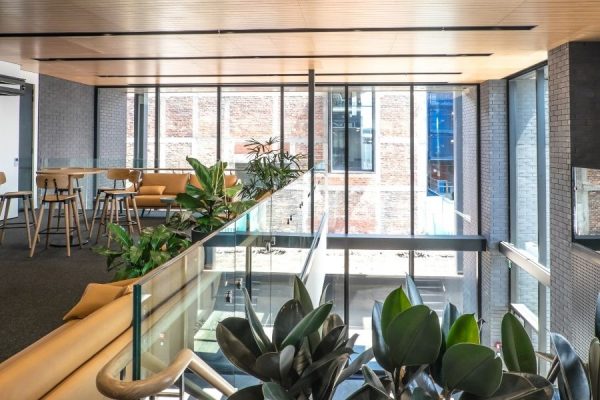 How To Incorporate Biophilic Office Design Elements Into Your Current ...