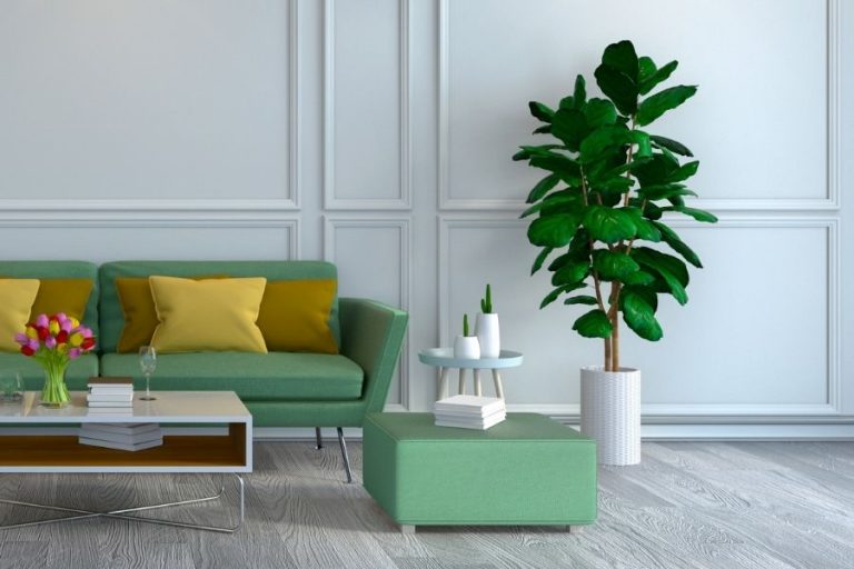 How To Arrange Indoor Plants And Pots Like a Pro: Practical Tips From ...