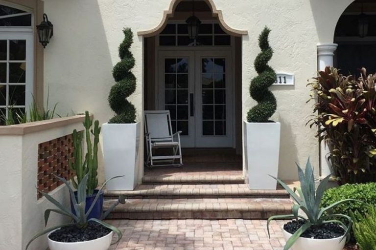 Plant Pot Size Guide | Find the Best Shape and Size for Your Plants ...
