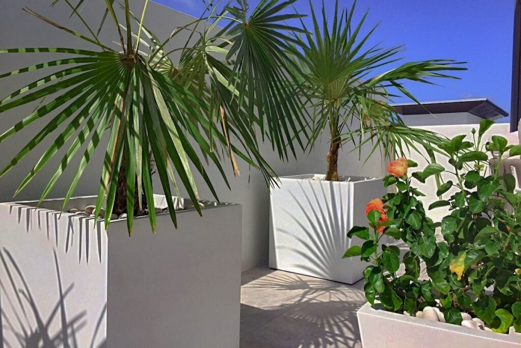 Large Planter Ideas | Buyers Guide To Large Home And Commercial ...