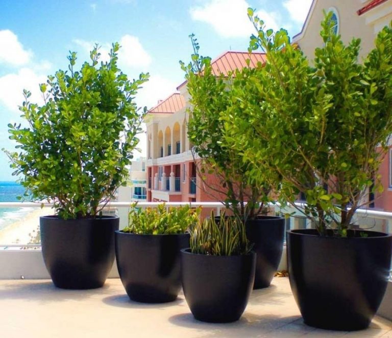 Buyers Guide To Rooftop Planters For Balconies, Roof Gardens ...