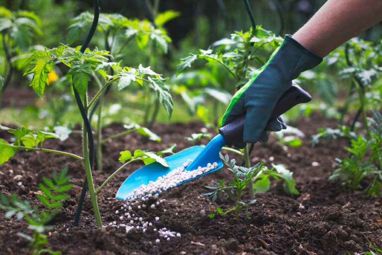 How To Fill Large Planters | From Potting Soil To Drainage Holes