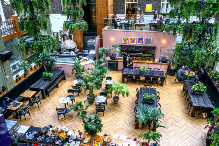 Best Plants for Restaurants: Planter Decor And Patio Design