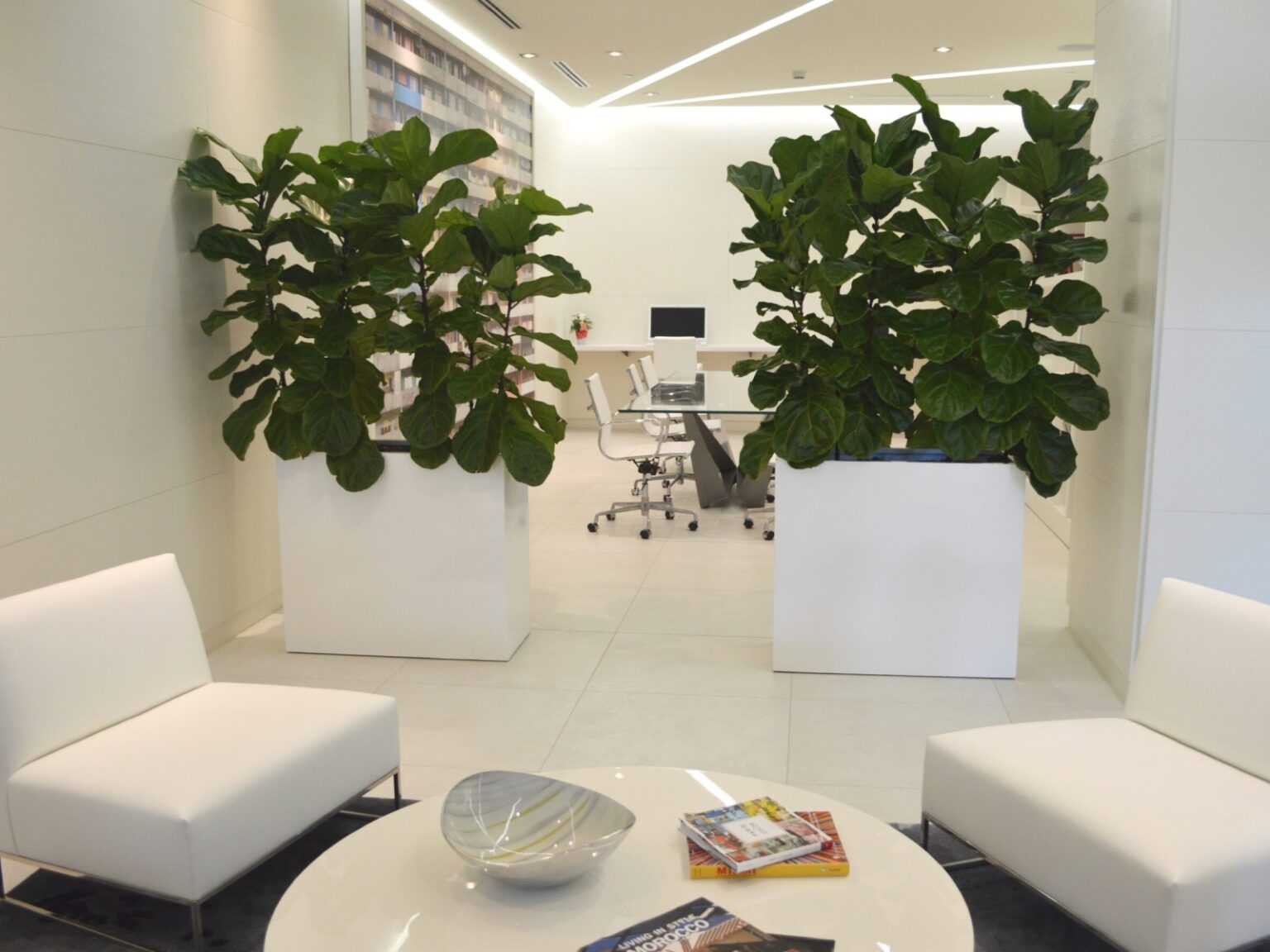 7 BEST Material for Plant Pots | Industrial Expert Guide | Jay Scotts ...