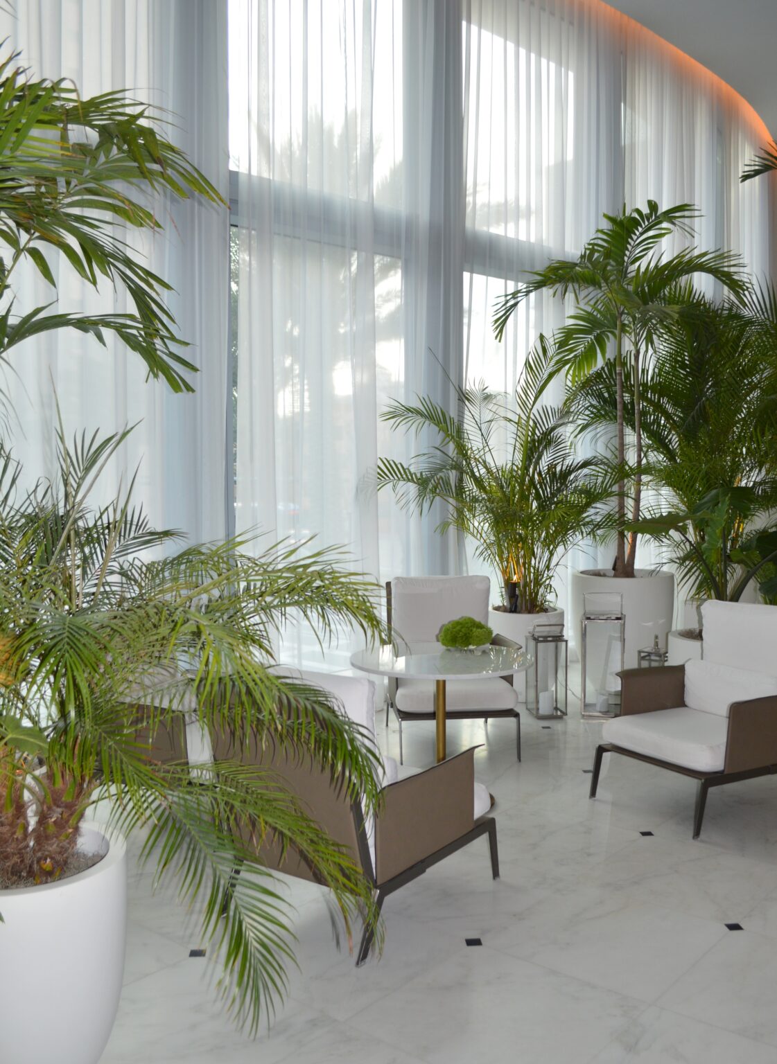 Buyer's Guide To Wholesale Extra Large Indoor Planters For Trees Jay ...