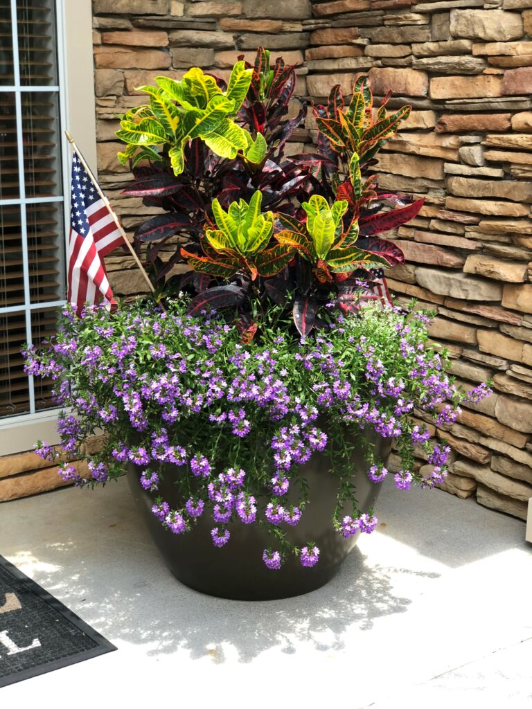How to Choose the Perfect Planter Colors for Any Space Jay Scotts ...