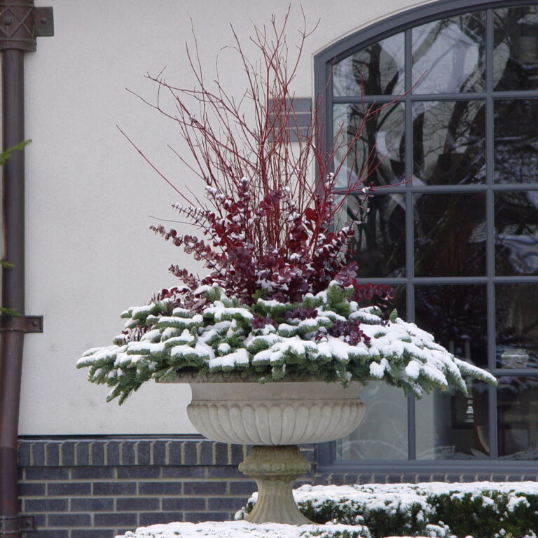 Outdoor Winter Planter Ideas + Winter Gardening Guide In 2024 | Jay ...