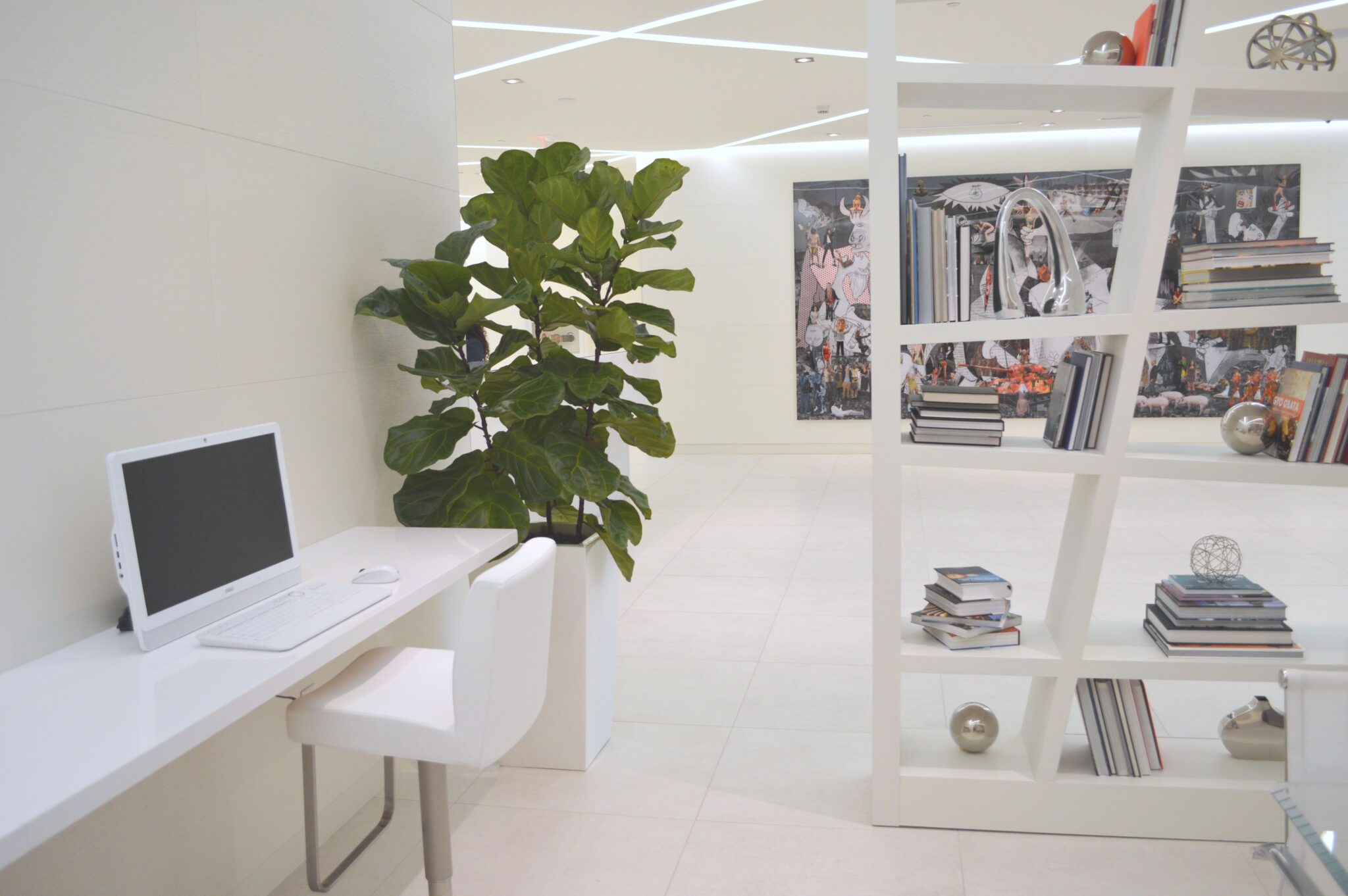 15 Best Plants For A Windowless Office | Health & Wellbeing At Work ...